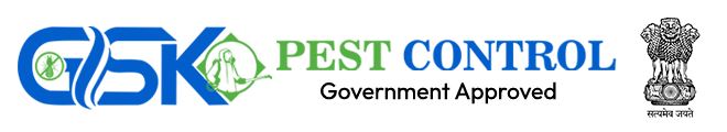 Pest Control Services in Chennai | GSK Pest Control Chennai